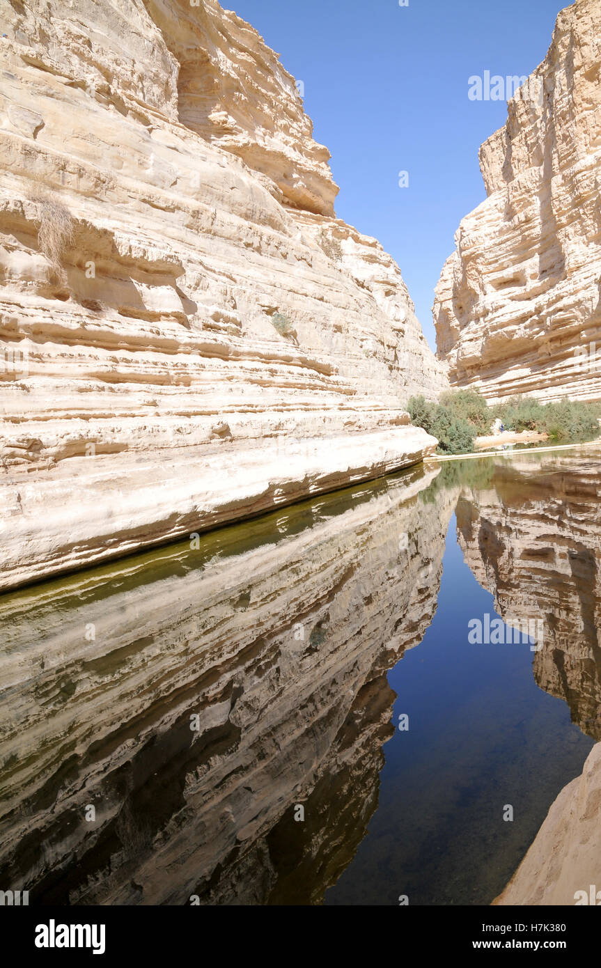 Israel israeli kibbutz sde boker hi-res stock photography and images - Alamy