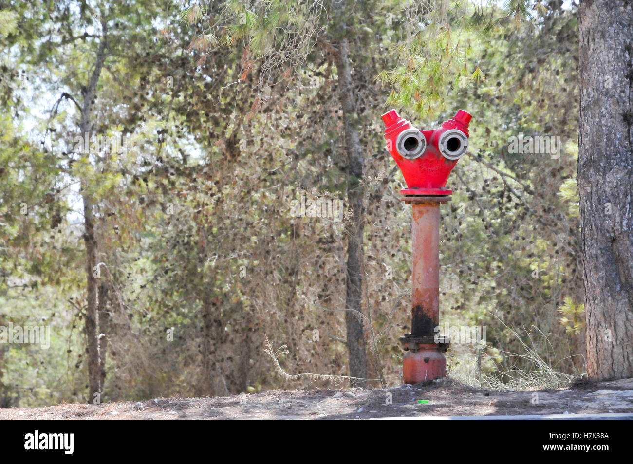 Fire hydrant in woods hi-res stock photography and images - Alamy