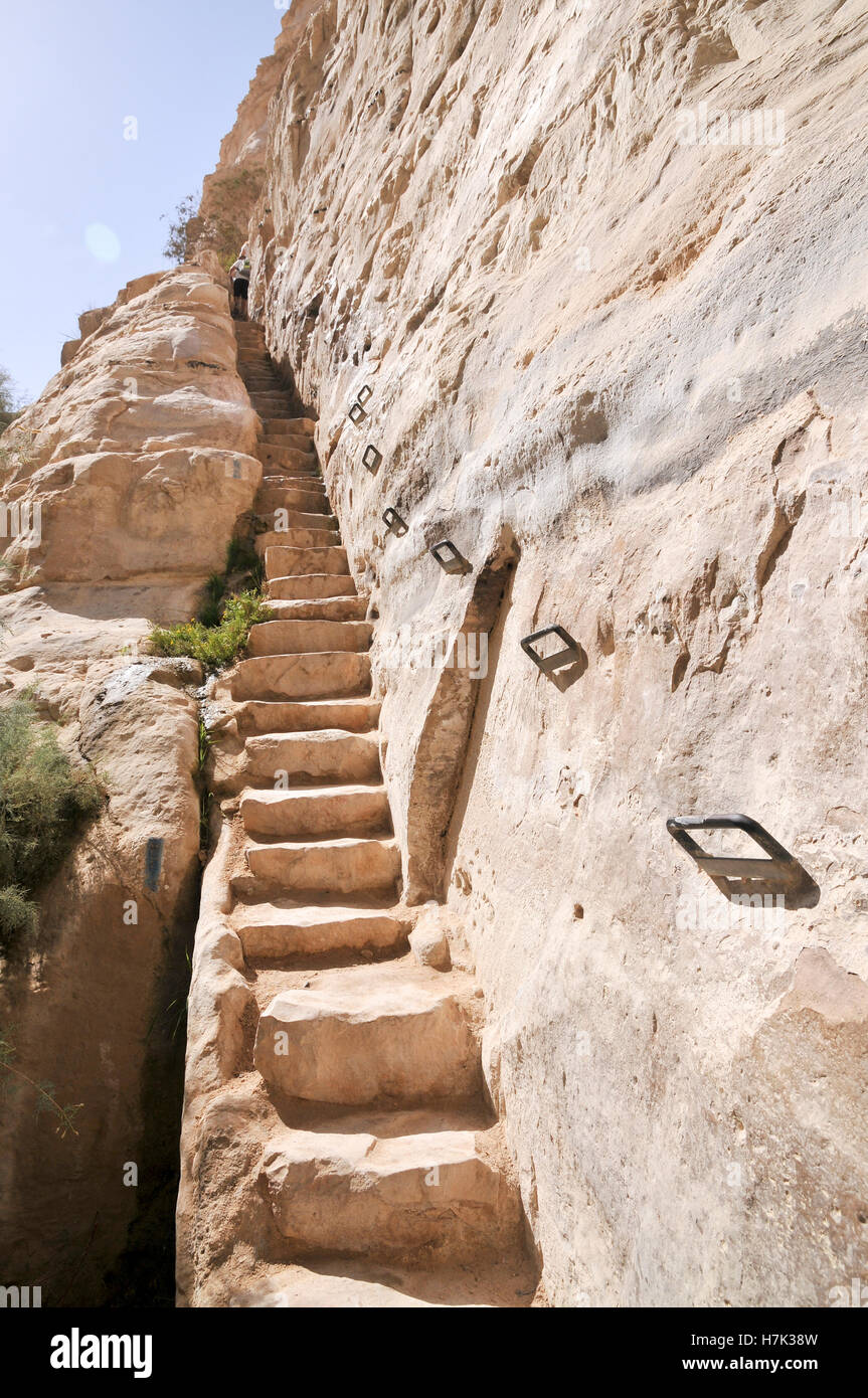 Ein Avdat, sweet water spring in the negev desert, israel near Kibbutz ...