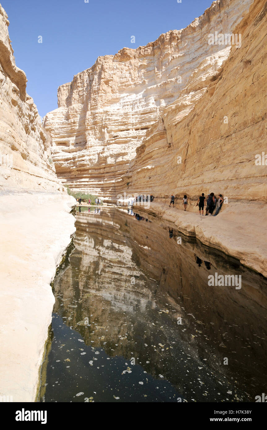 Ein Avdat, sweet water spring in the negev desert, israel near Kibbutz ...