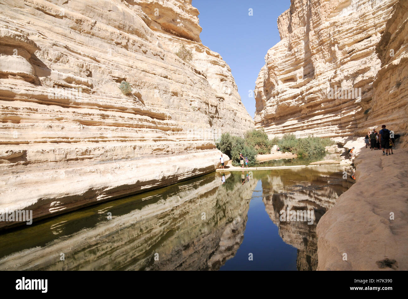 Ein Avdat, sweet water spring in the negev desert, israel near Kibbutz ...