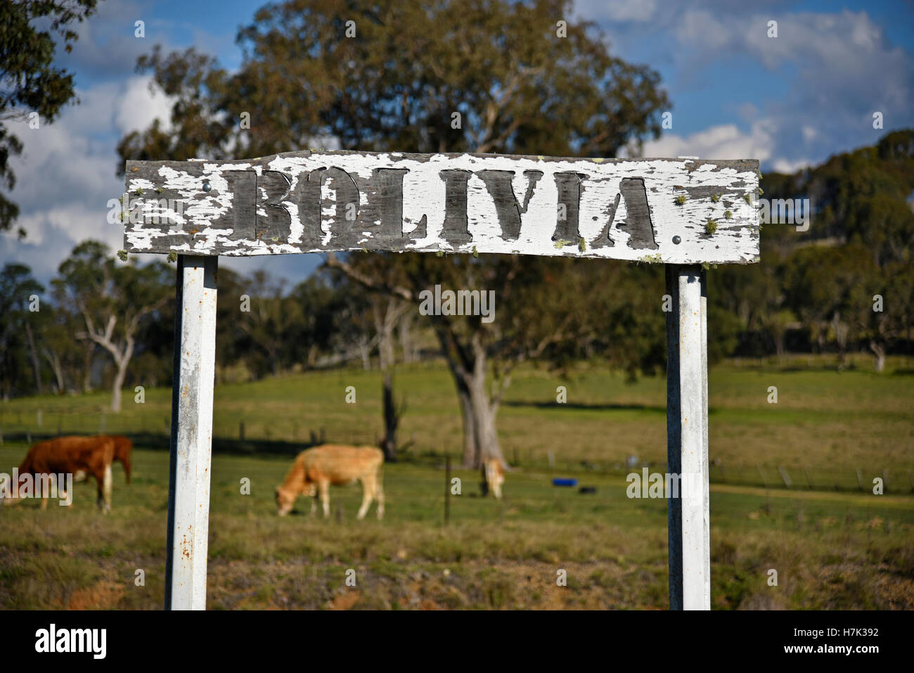 Englwnd hi-res stock photography and images - Alamy