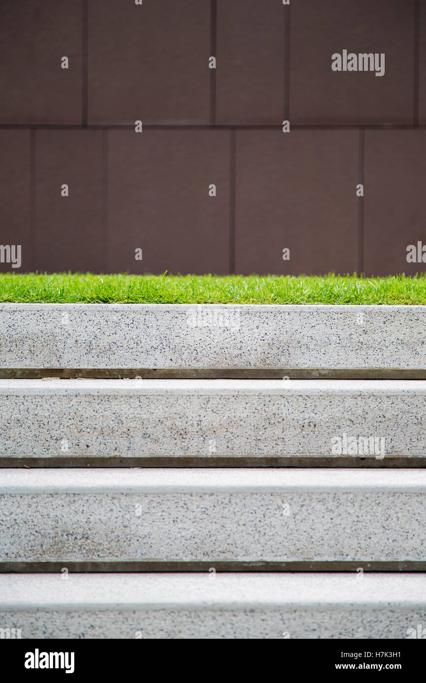 Close view of the stairs with the planted grass at the top Stock Photo ...