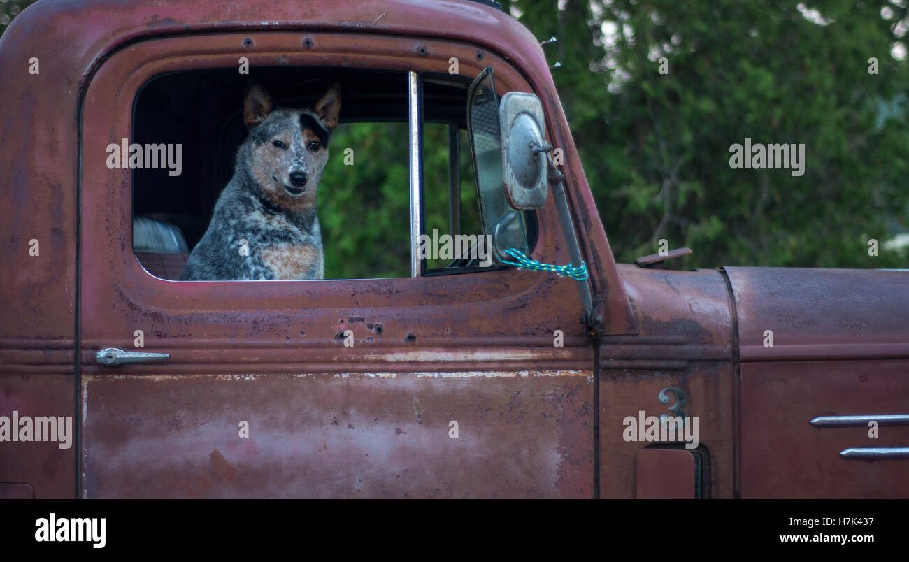 Riding rusty hi-res stock photography and images - Alamy