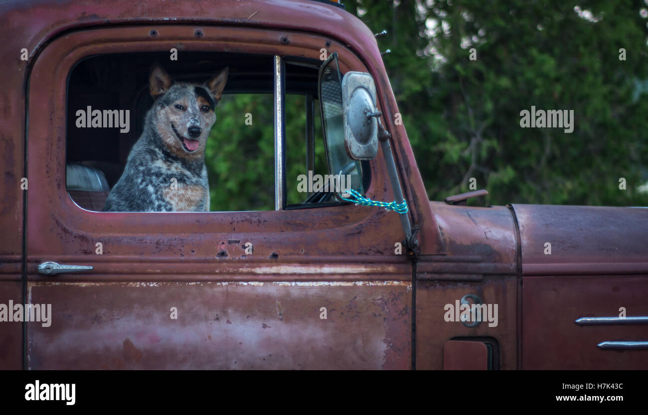 Riding rusty hi-res stock photography and images - Alamy