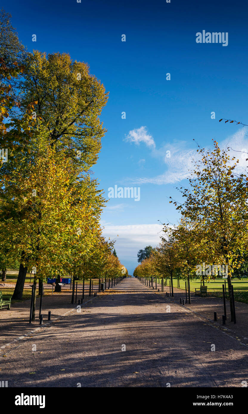 Helsinki central park hi-res stock photography and images - Alamy