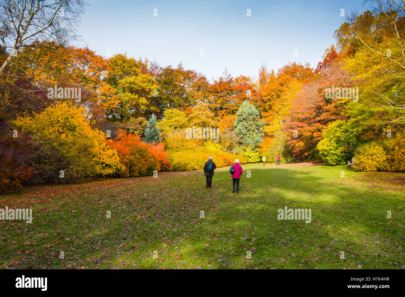 Visitors enjoy autumn sunlight, among deciduous trees at Thorp Perrow ...