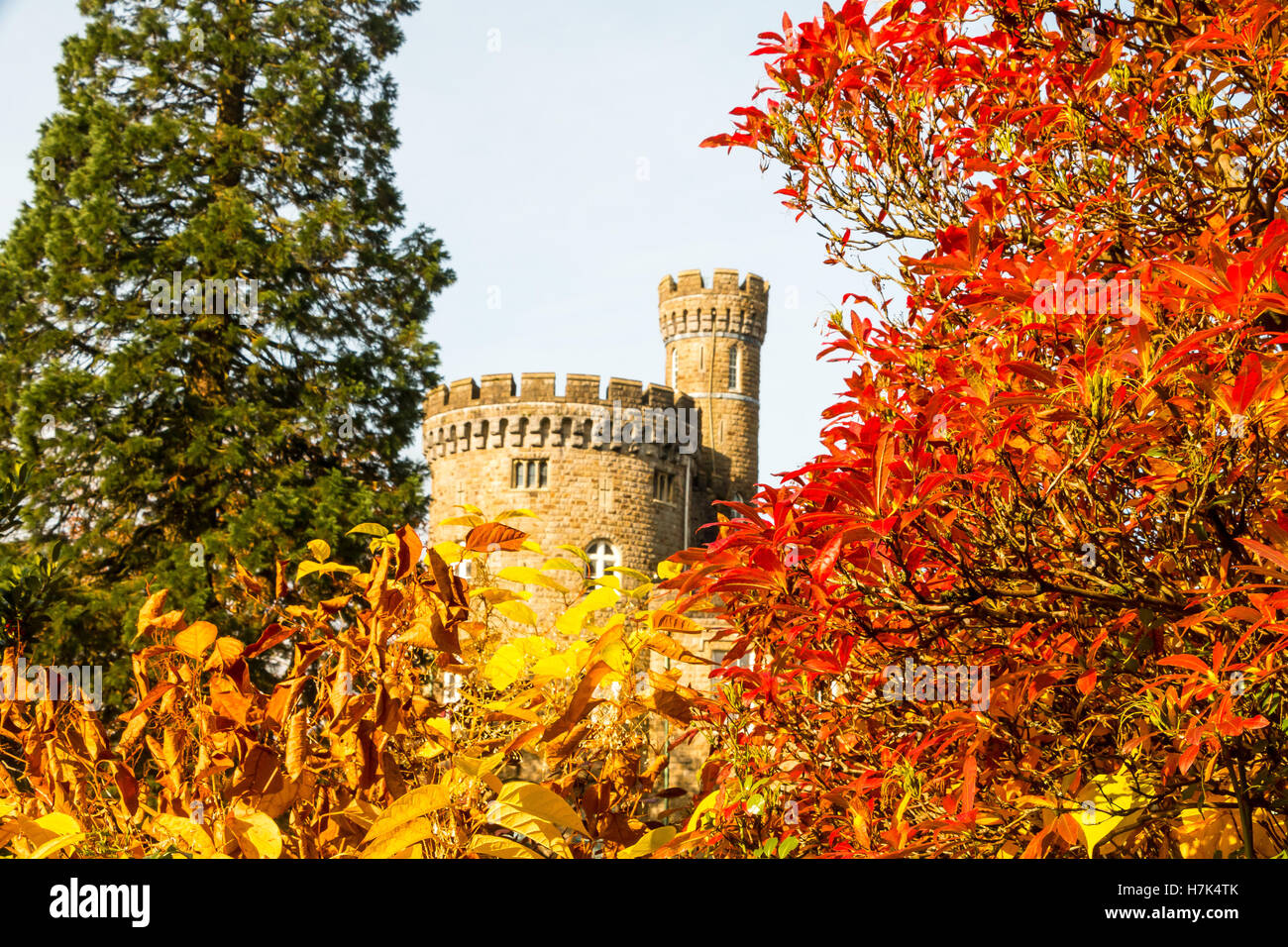 Cyfartha Castle High Resolution Stock Photography and Images - Alamy
