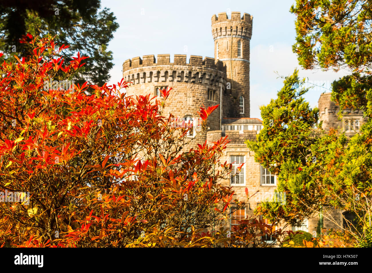 Cyfarthfa Castle in autumn, Merthyr Tydfil, South Wales Stock Photo - Alamy