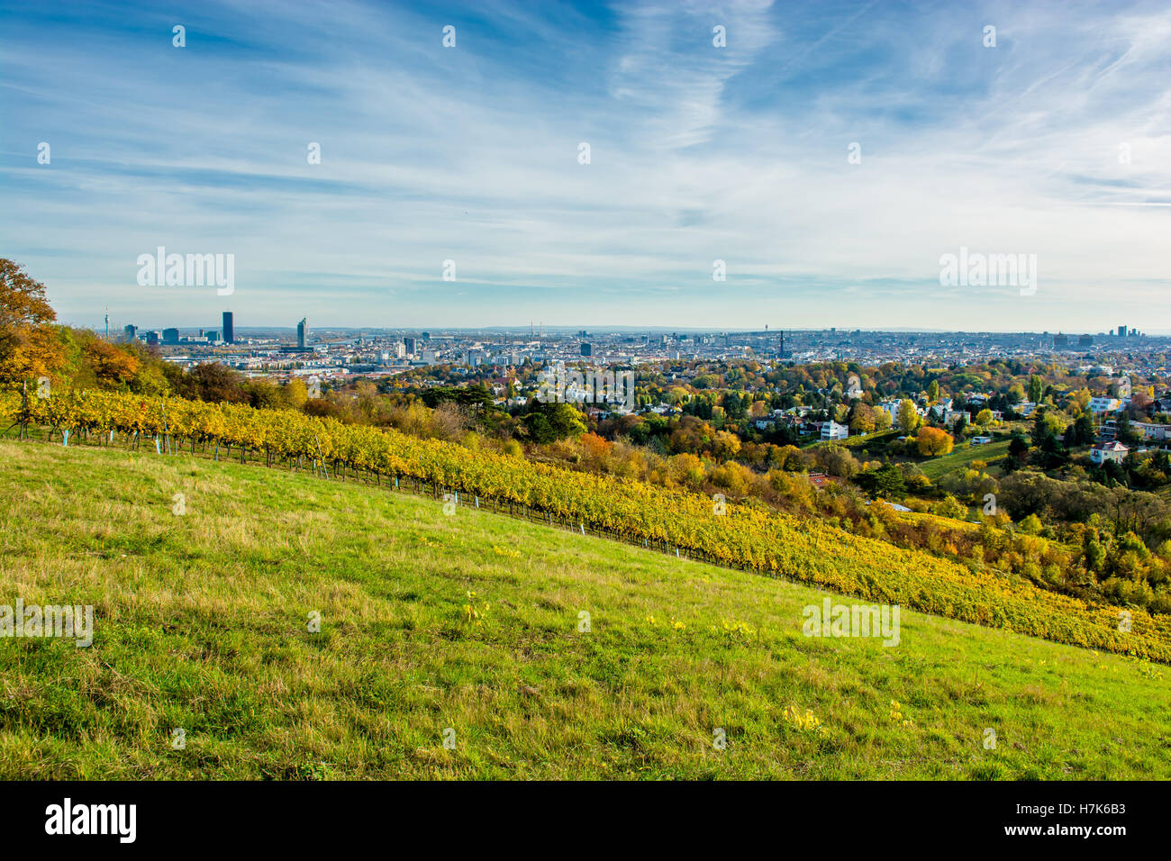 Vineyard in Autumn in Front of the Skyline of Vienna in Austria Stock ...