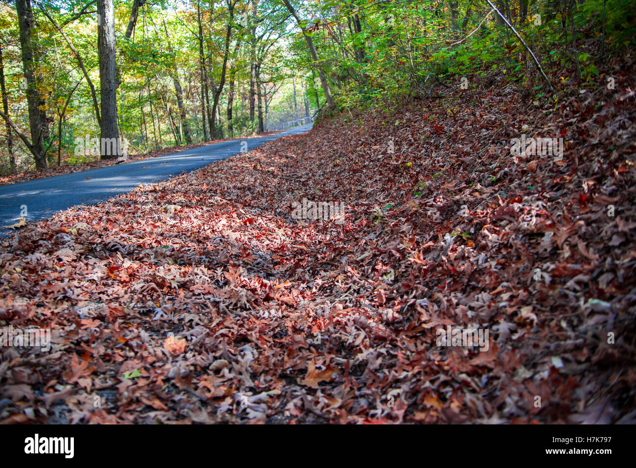 Colors of fall Stock Photo - Alamy