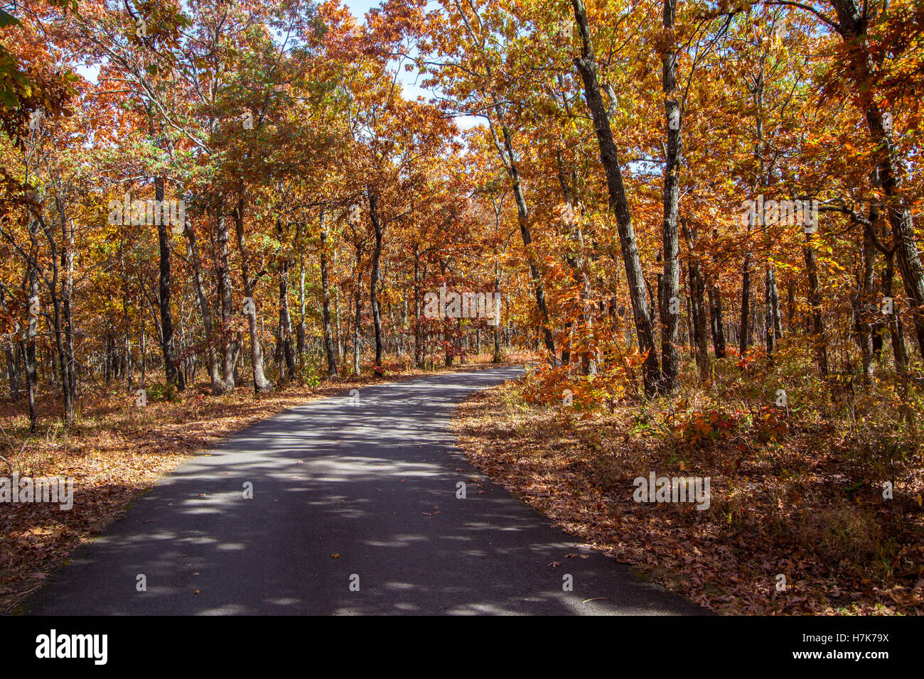 Colors of fall Stock Photo - Alamy