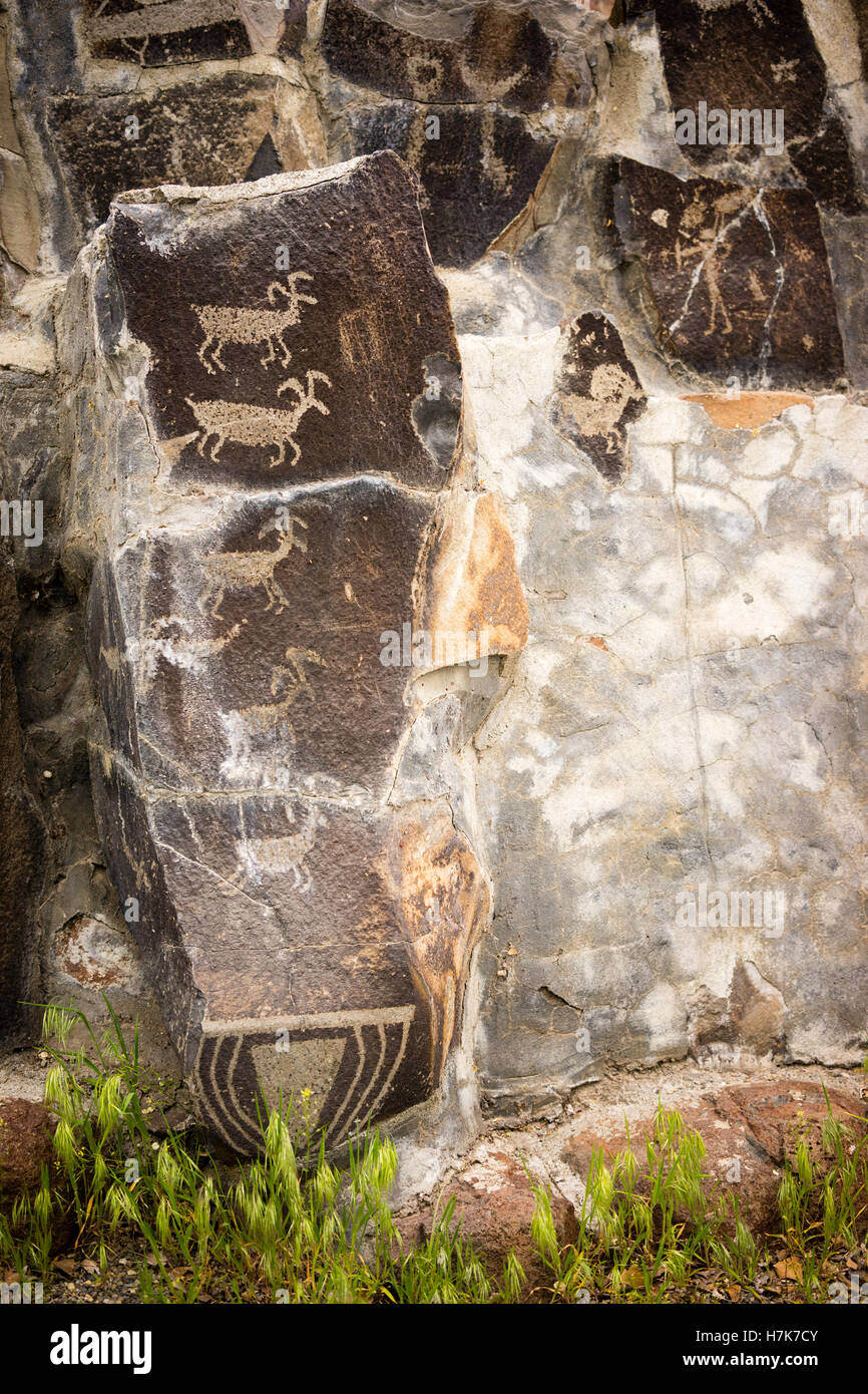 Primitive rock drawings hundreds of years old we call Petroglyphs Stock ...