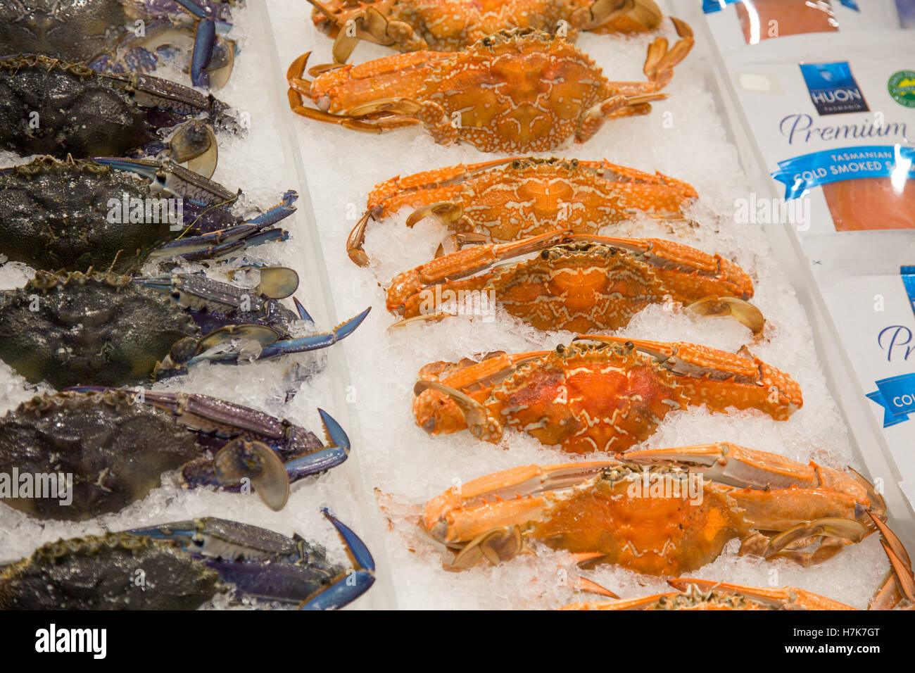 Raw and cooked Blue swimmer crab Portunus pelagicus in a Sydney ...