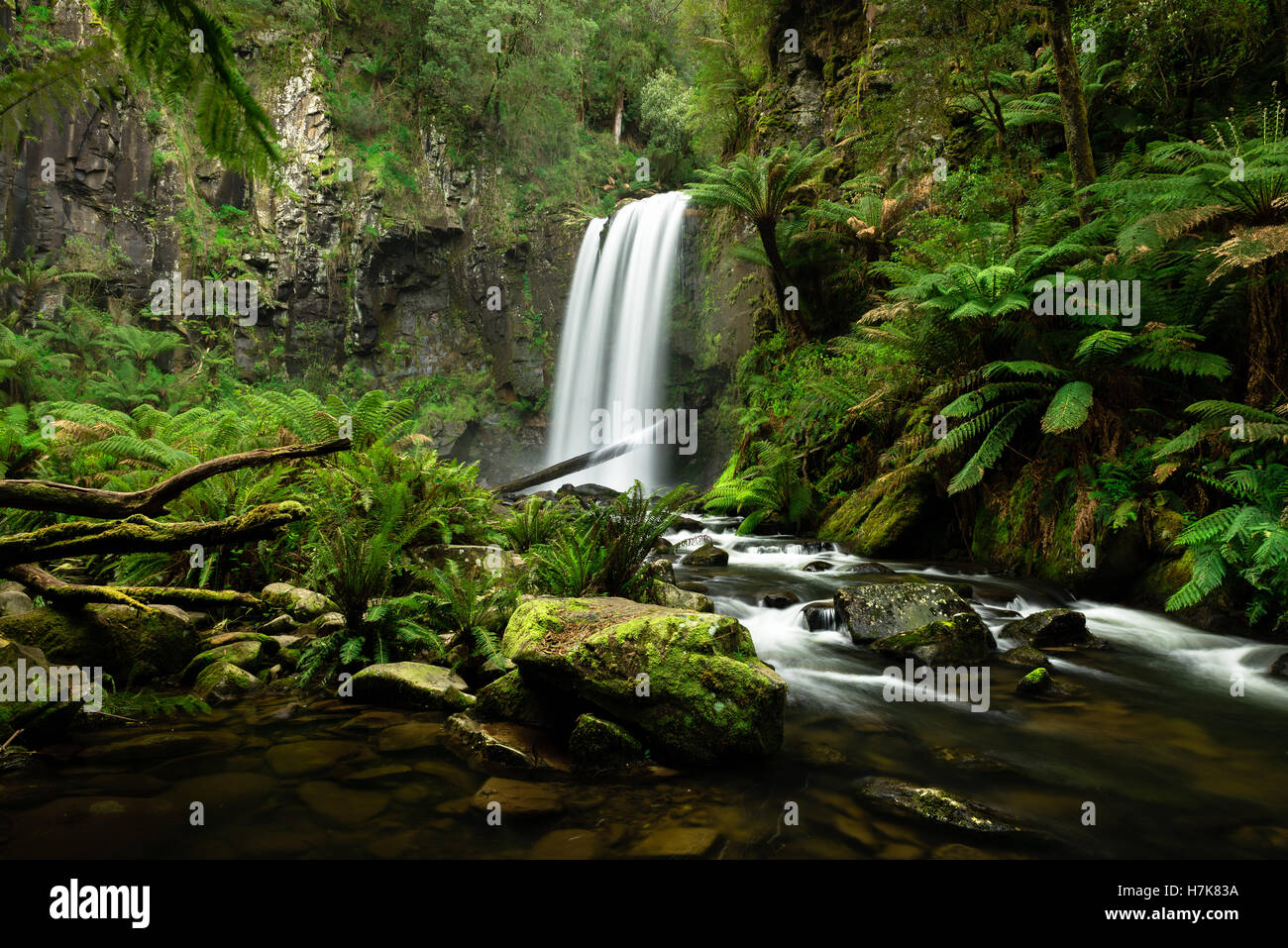 Hopetoun Falls, Great Otway National Park, Victoria, Australia Stock ...