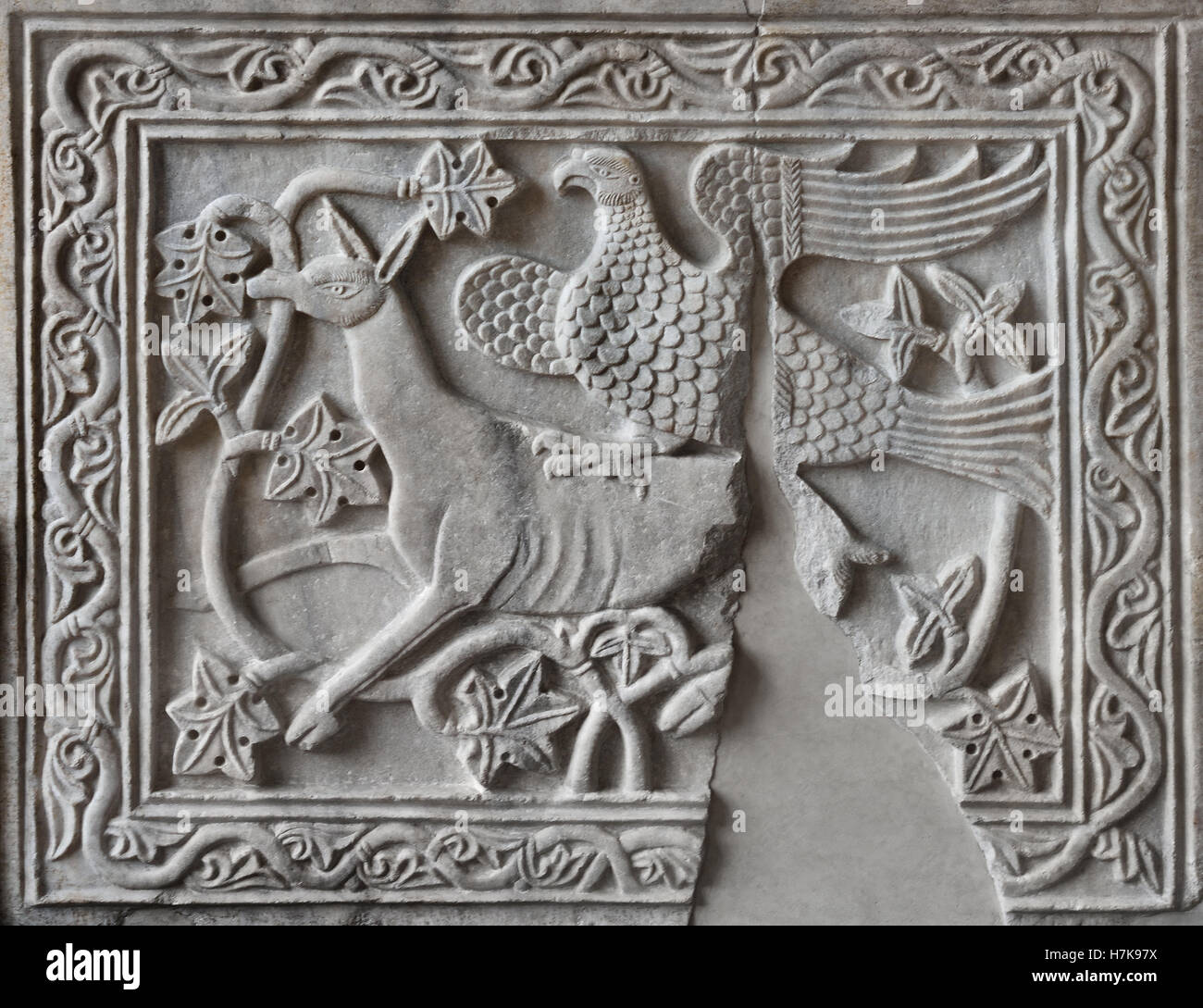 Roman animals hi-res stock photography and images - Alamy