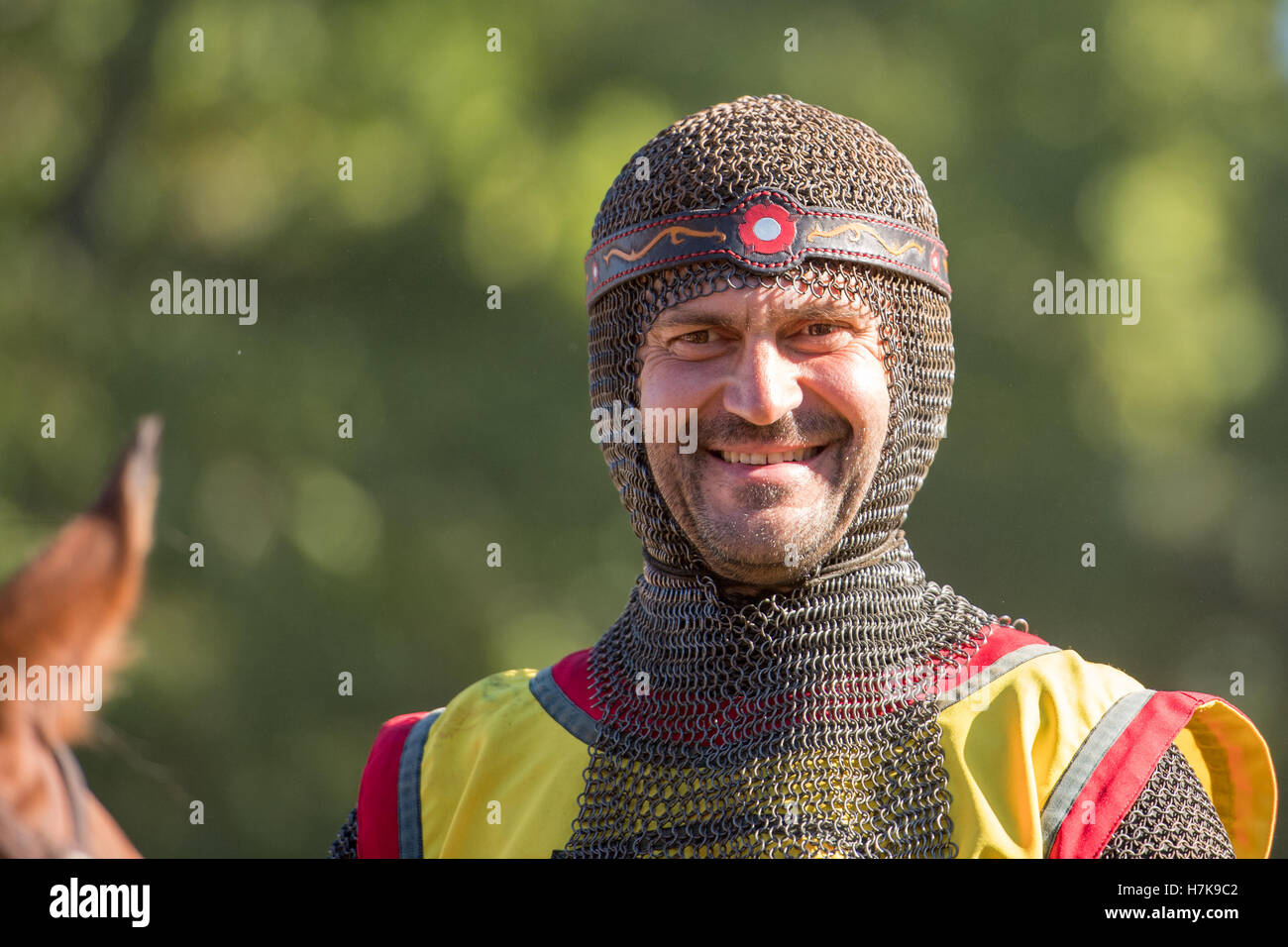 Swedish knights hi-res stock photography and images - Alamy