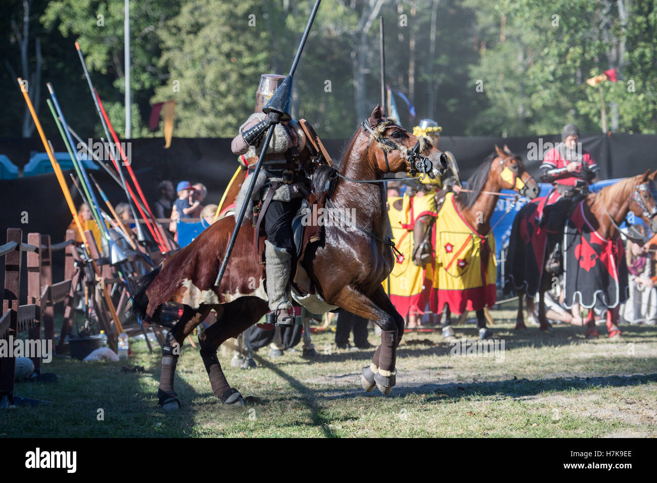 Swedish Scandinavian Summer People Culture Entertainment Festival High ...