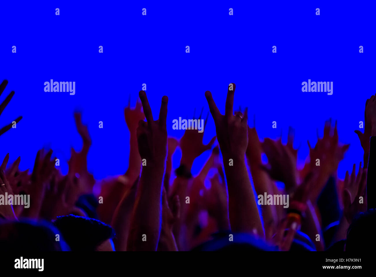 Fans cheering at open air live concert Stock Photo - Alamy