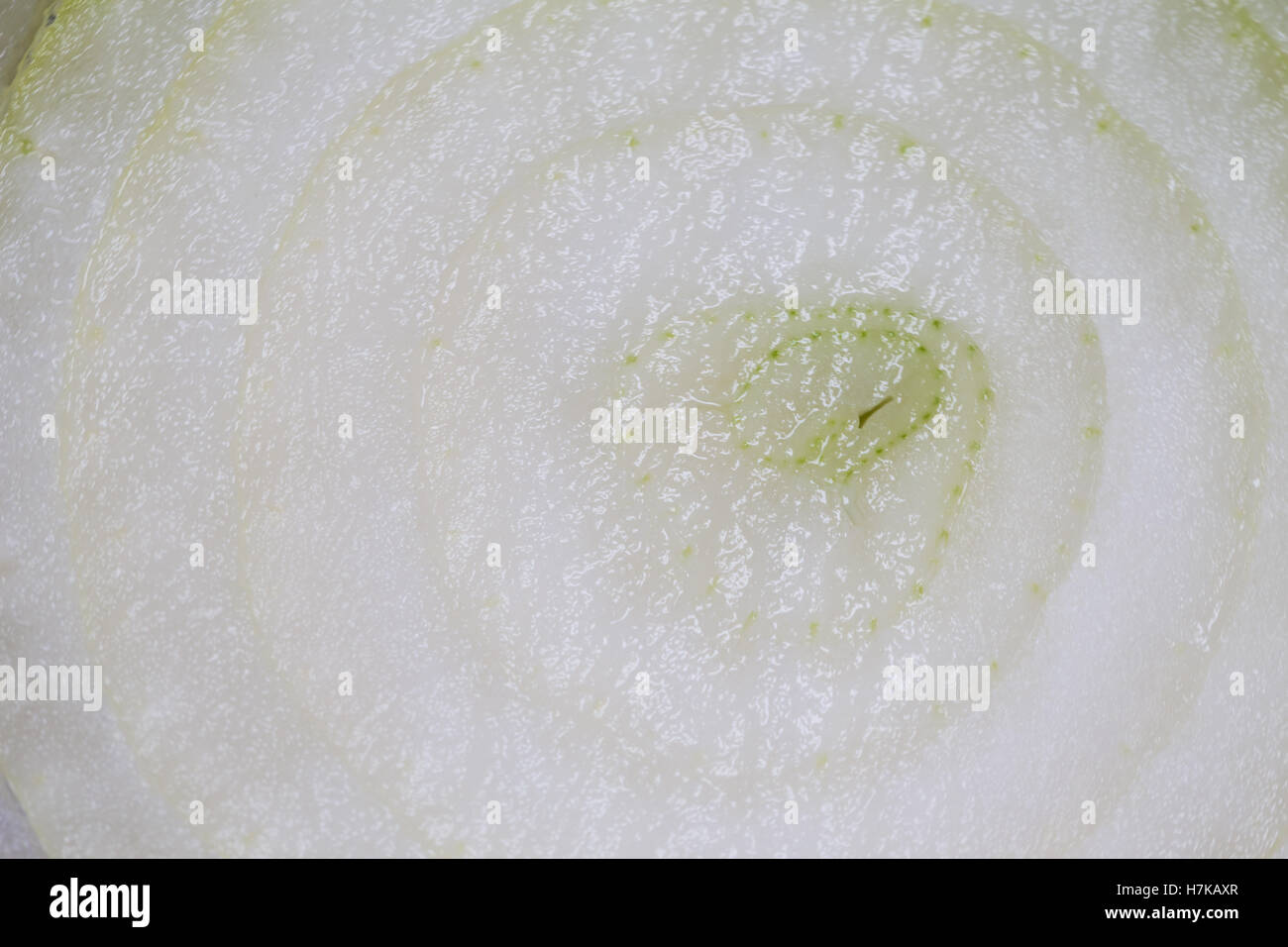 Onion / texture Stock Photo - Alamy