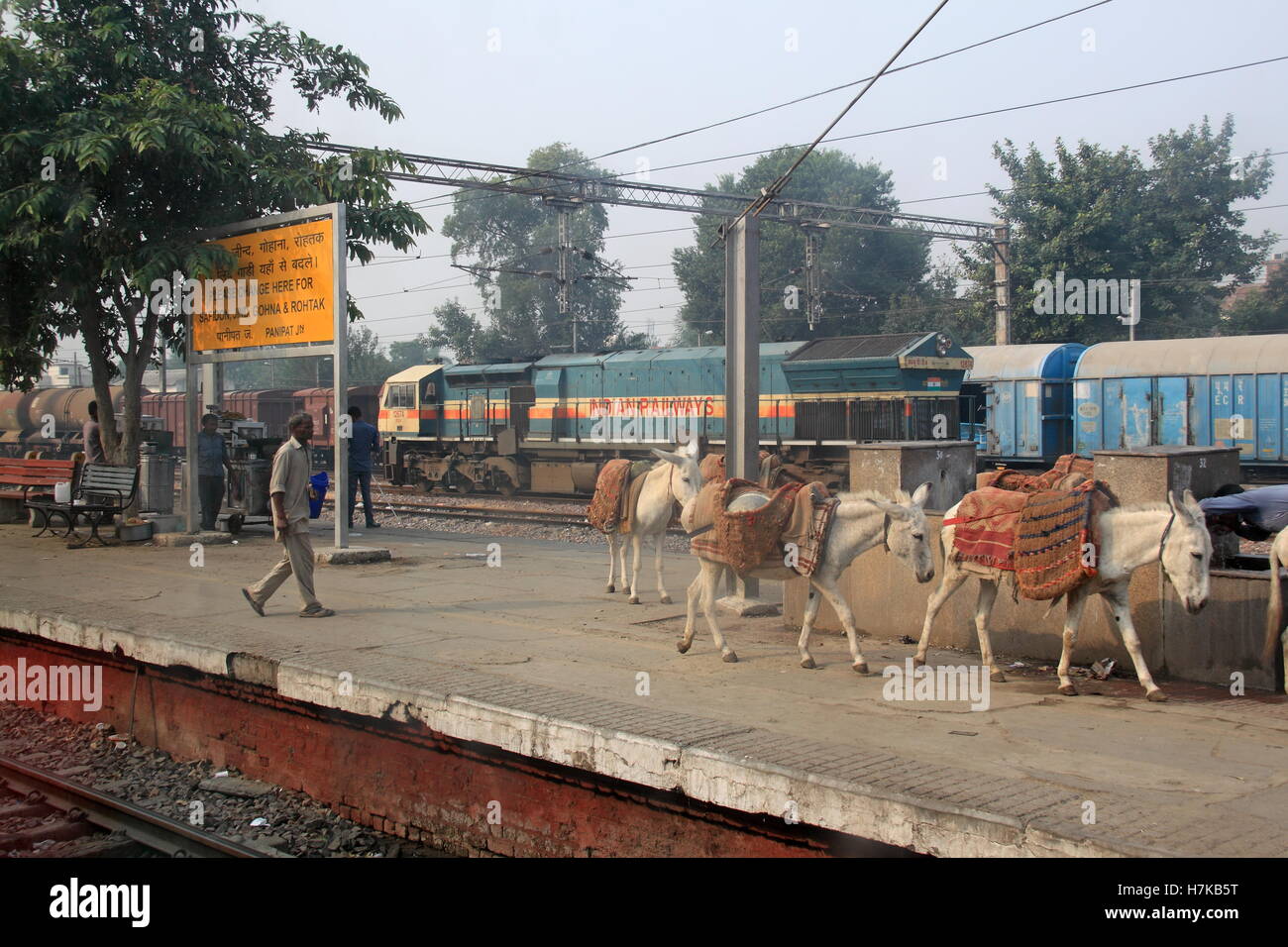 Northern indian subcontinent hi-res stock photography and images - Alamy