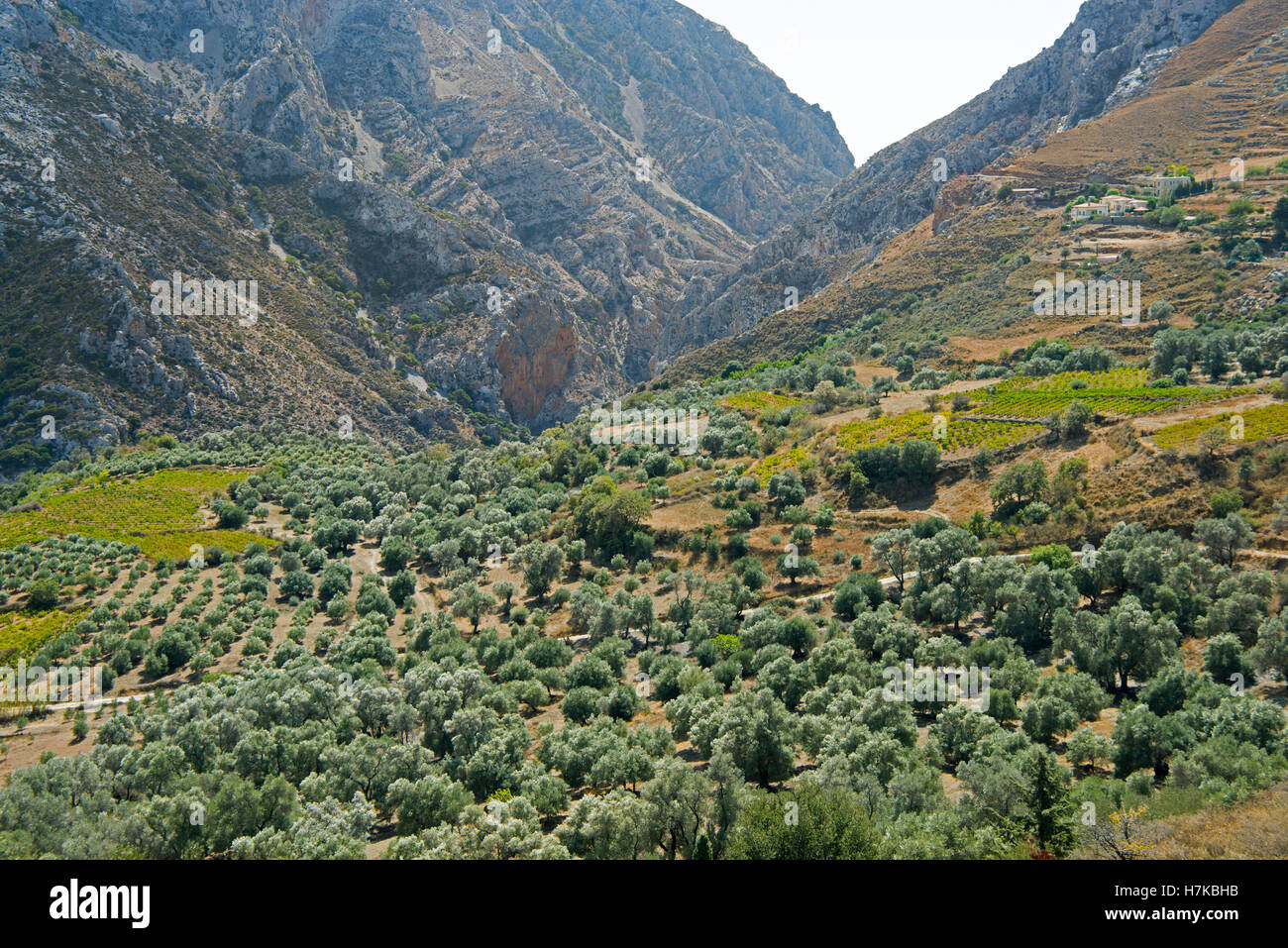 Frati hi-res stock photography and images - Alamy