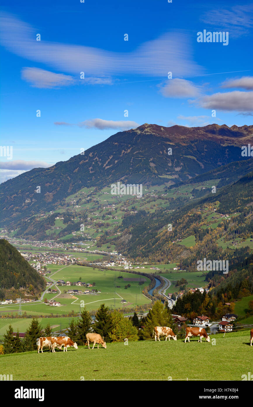 Zillertal hi-res stock photography and images - Alamy