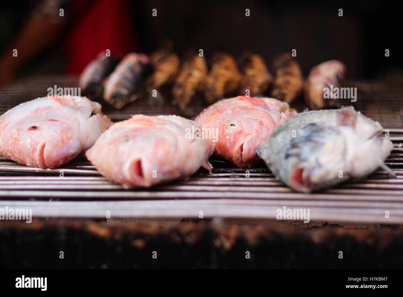 Snapped fish hi-res stock photography and images - Alamy