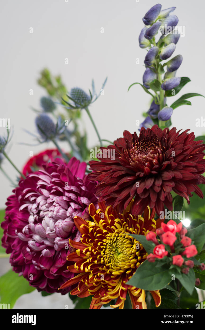Colorful fresh flowers bouquet Stock Photo - Alamy
