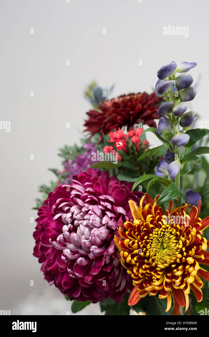 Colorful fresh flowers bouquet Stock Photo - Alamy