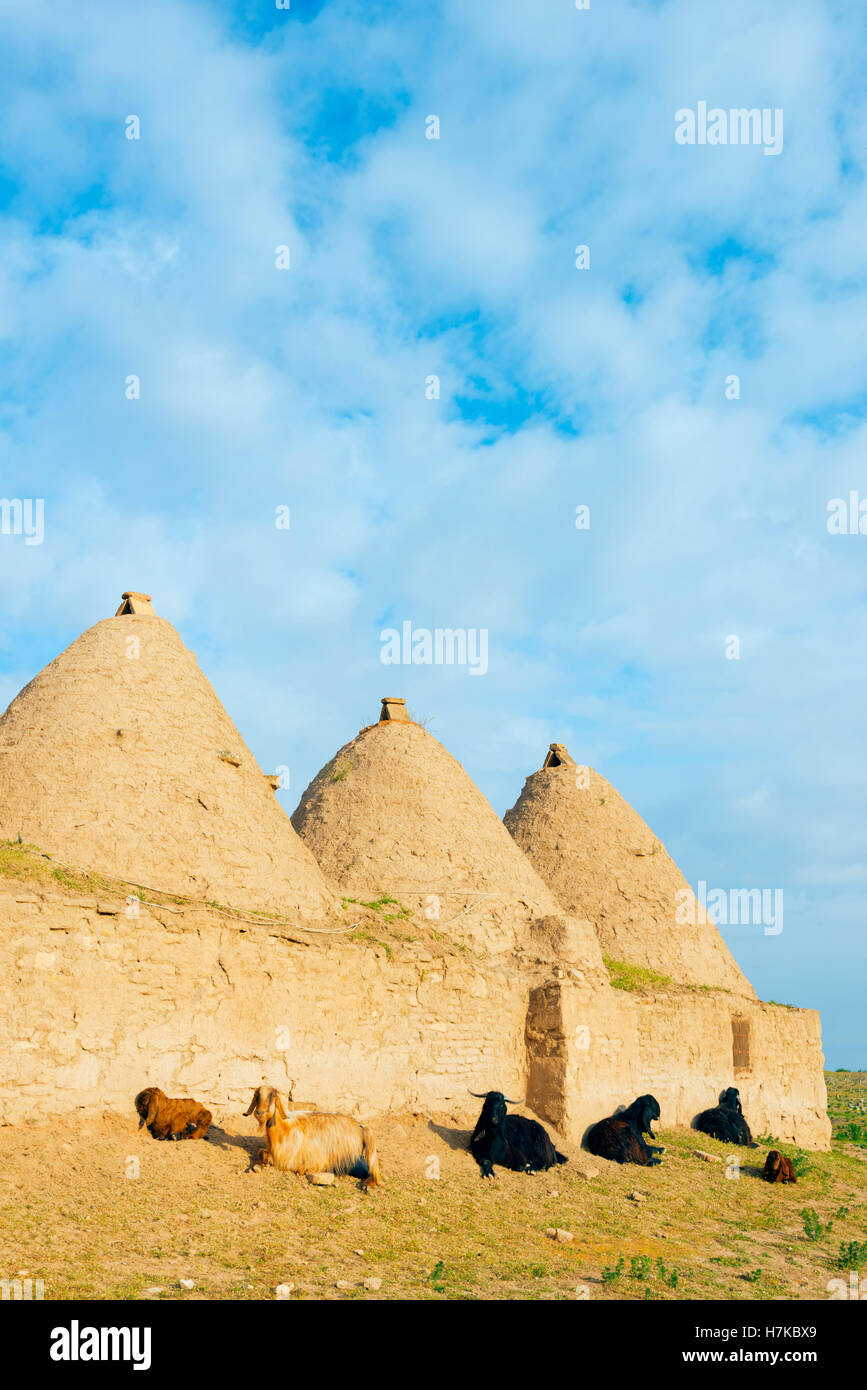 Turkey eastern anatolia village bee hive hi-res stock photography and ...