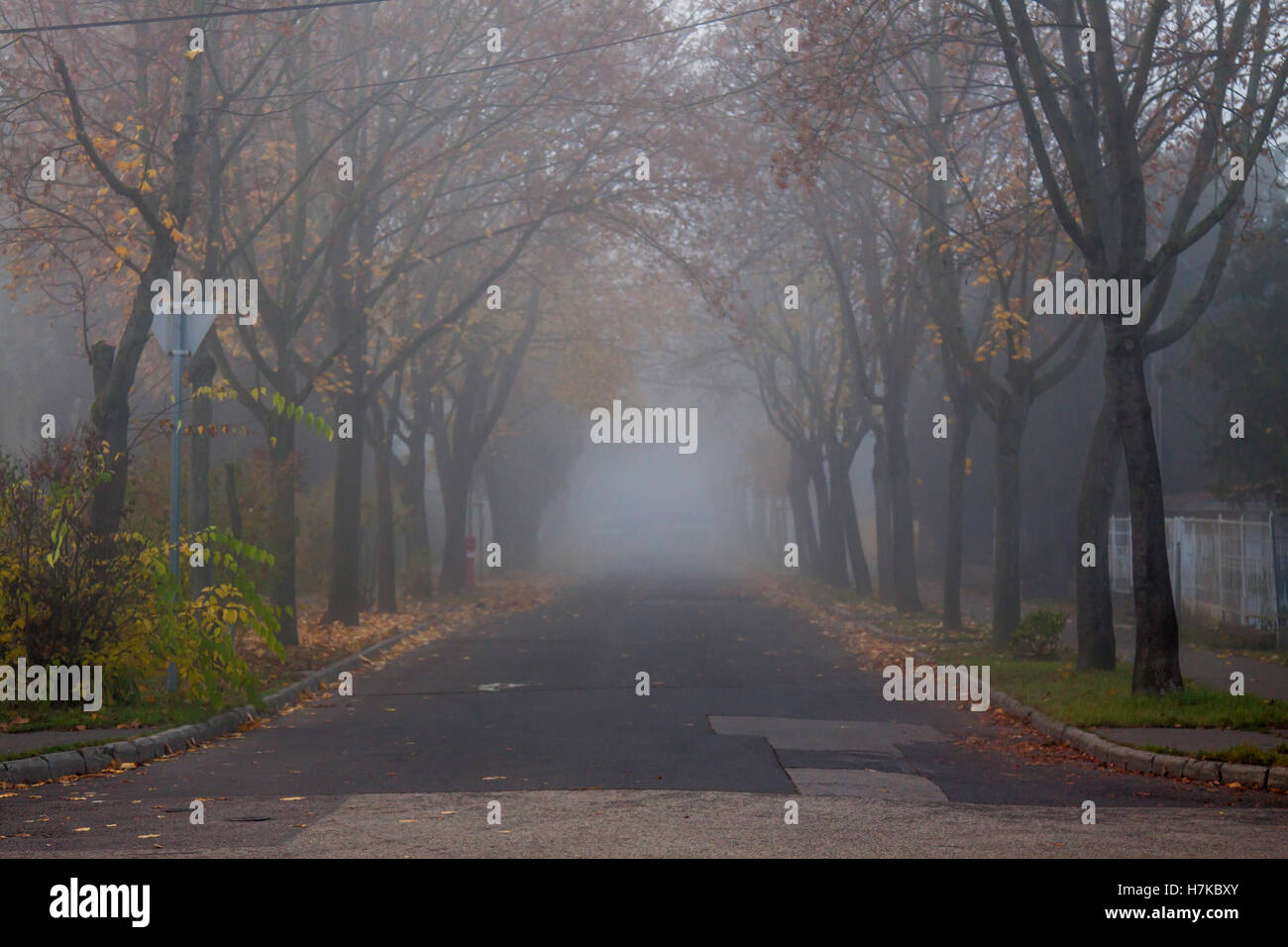 view of a foggy street at Budapest suburb Stock Photo - Alamy