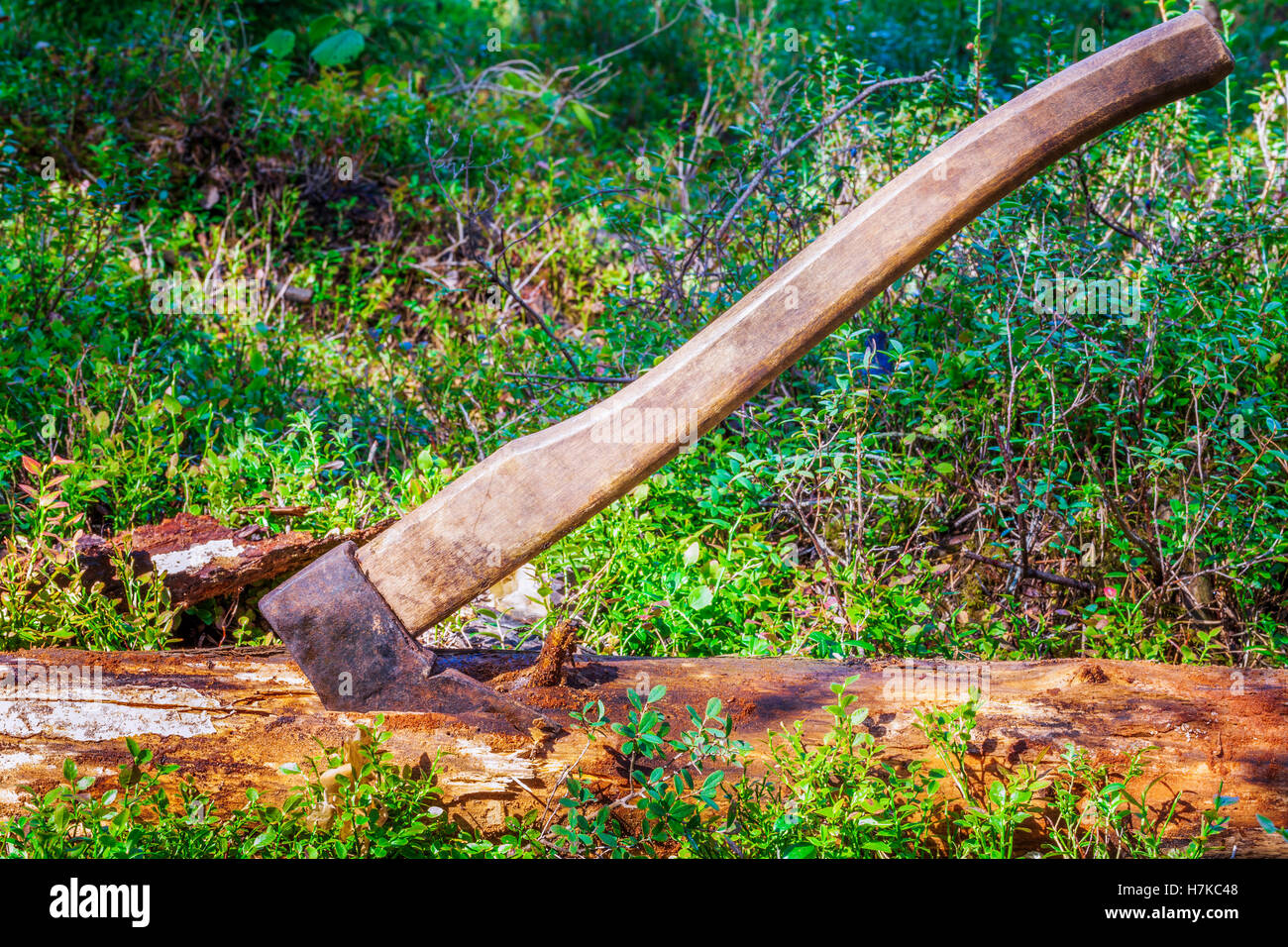 Ax carved in old log in the forest Stock Photo - Alamy