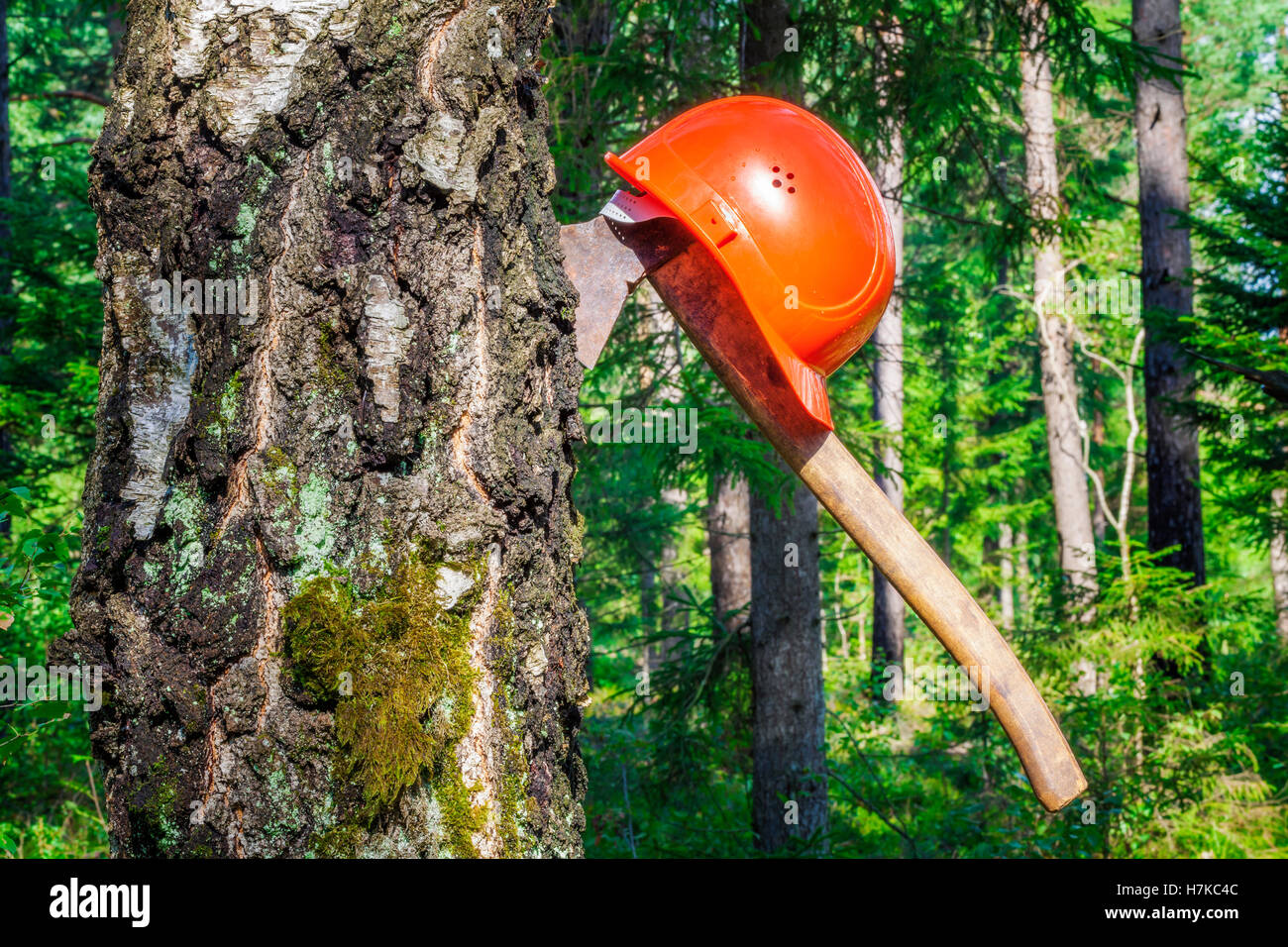 Ax carved in tree with helmet in the forest Stock Photo - Alamy