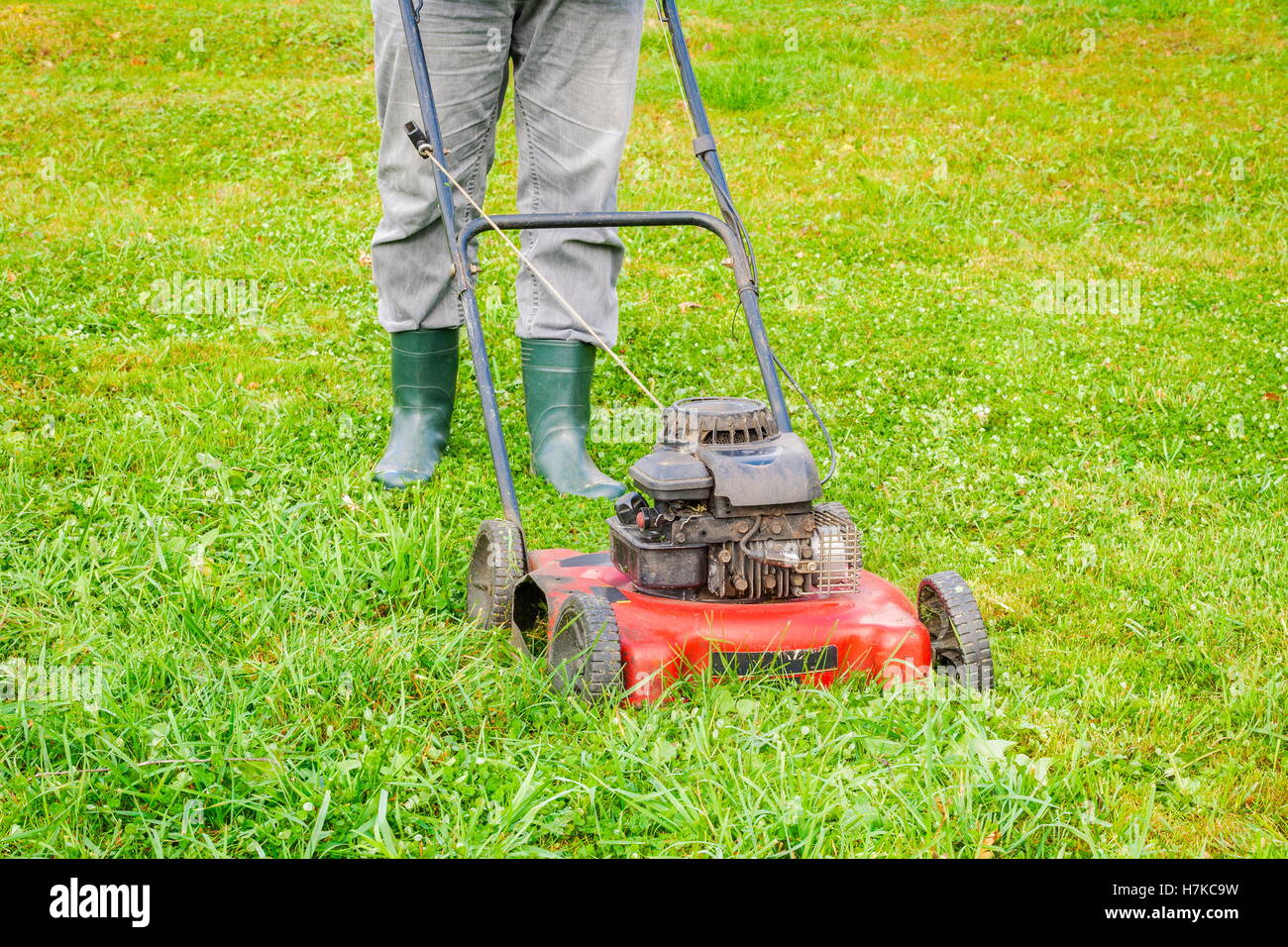 Landscaping worker hi-res stock photography and images - Alamy
