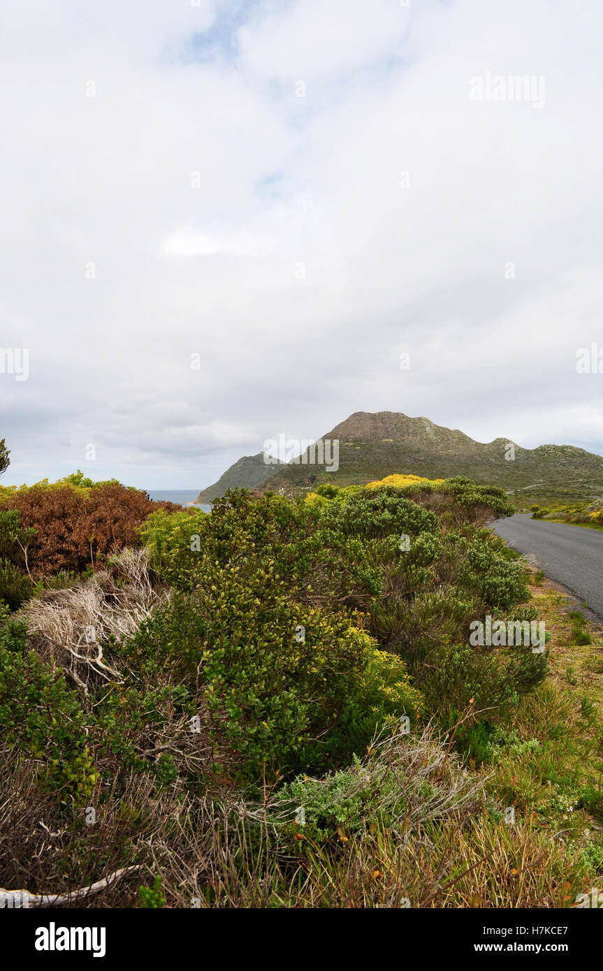 Promontory mountain hi-res stock photography and images - Alamy