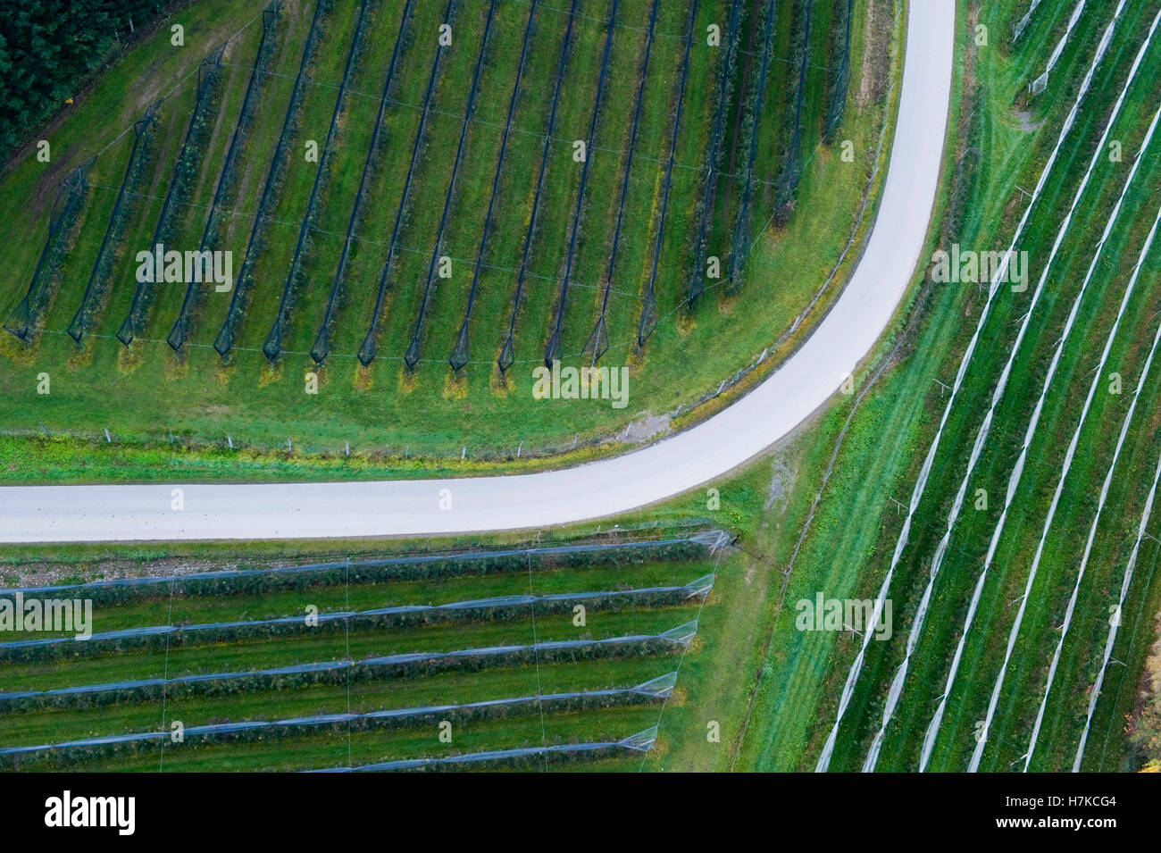 Seasons in orchard hi-res stock photography and images - Alamy