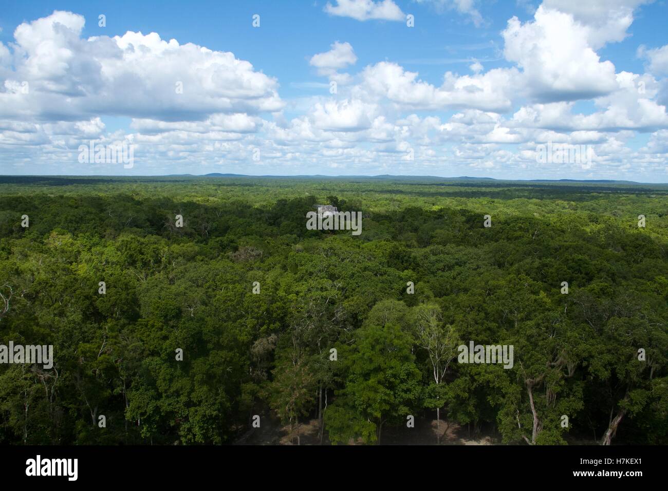Calakmul biosphere reserve, Campeche, Mexico Stock Photo - Alamy