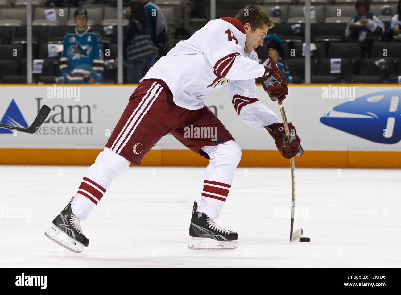 February 1, 2011; San Jose, CA, USA; Phoenix Coyotes left wing Taylor ...