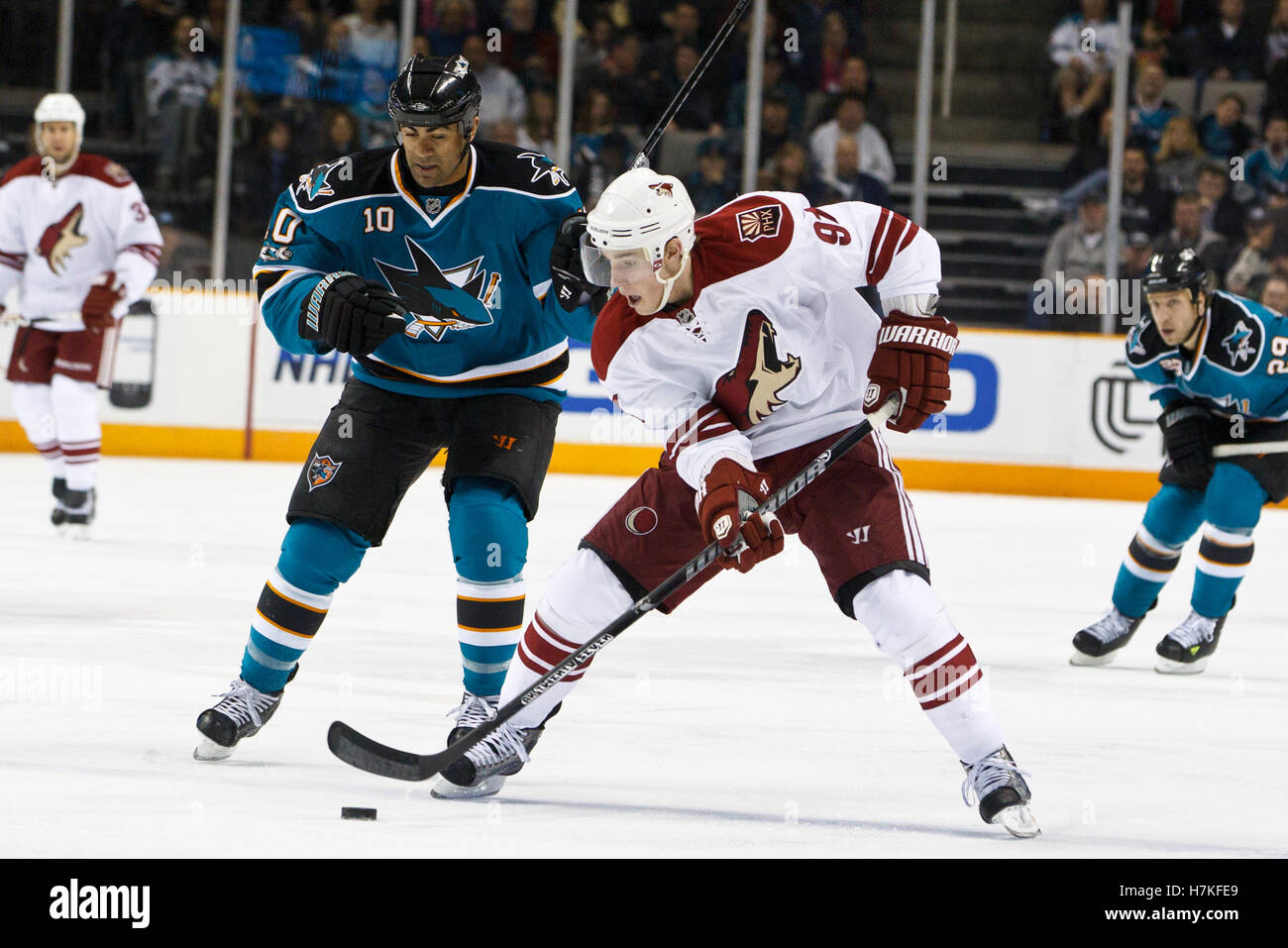 Kyle Turris Wallpaper