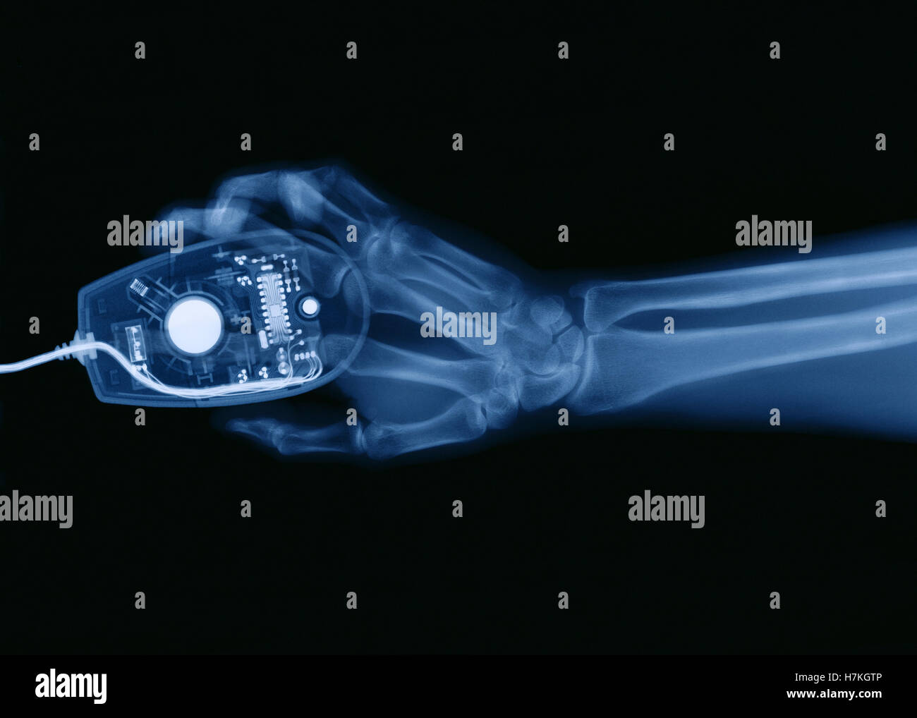 Mouse x ray hi-res stock photography and images - Alamy