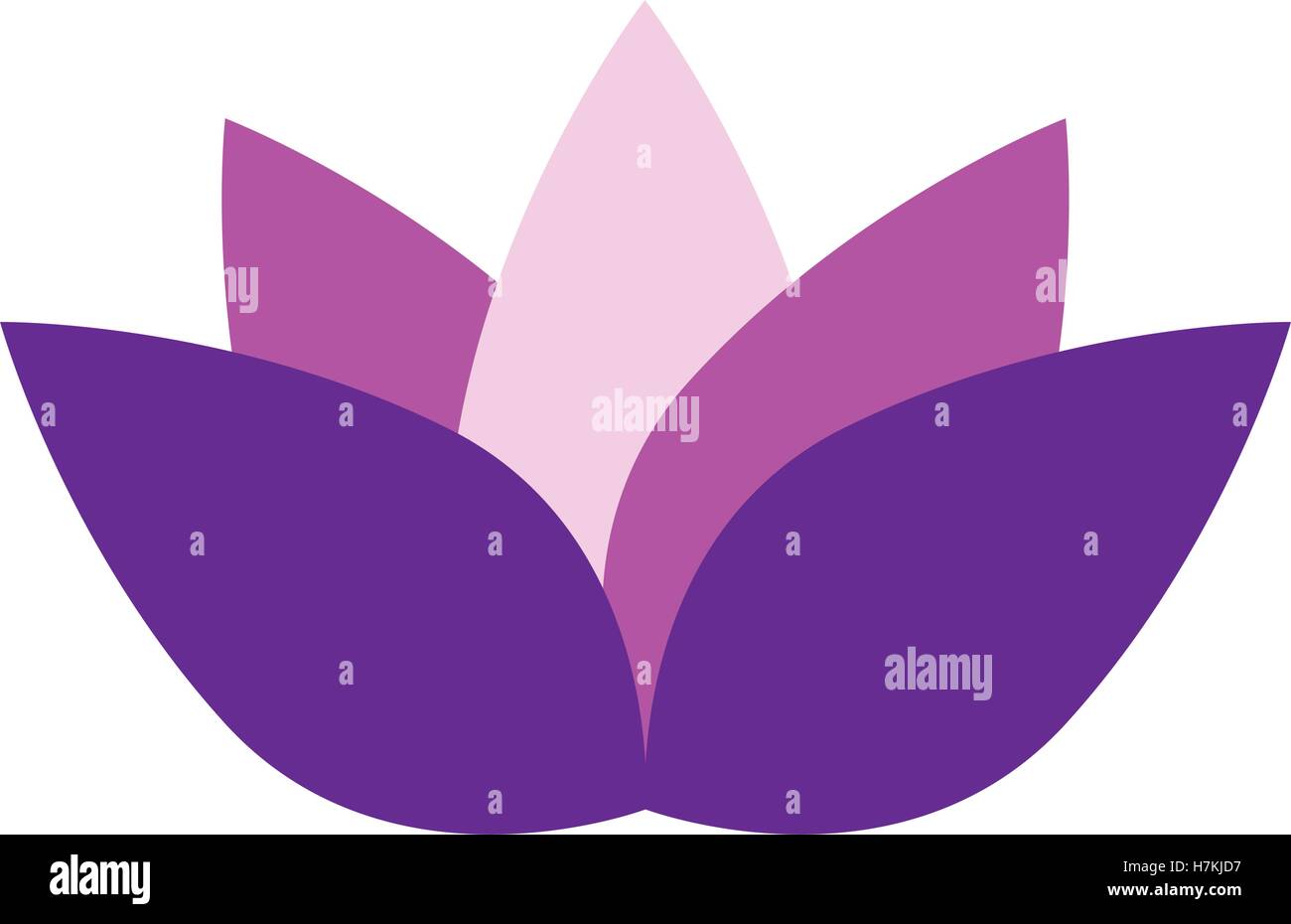 Isolated purple lotus flower, Spa vector illustration Stock Vector Image & Art - Alamy