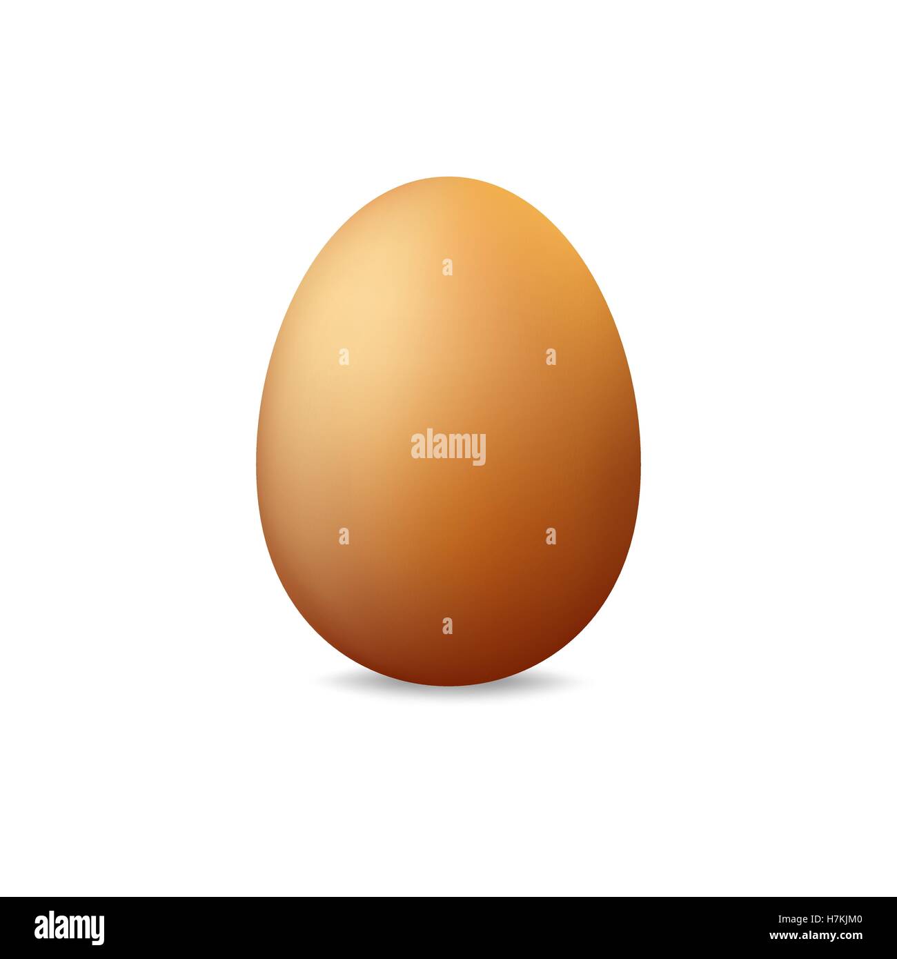 Egg on a white background Stock Vector Image & Art - Alamy