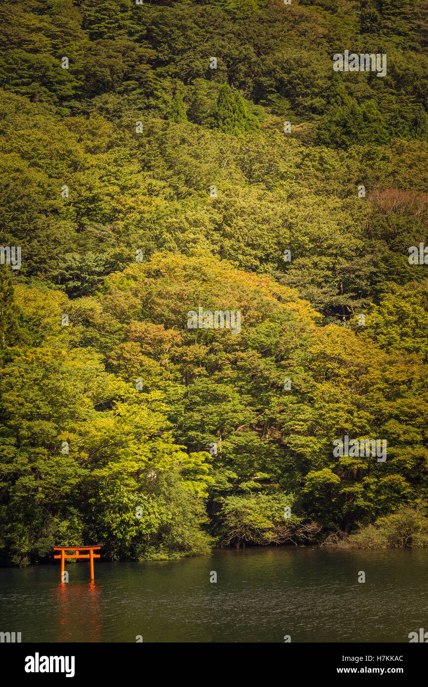 Small torii hi-res stock photography and images - Alamy