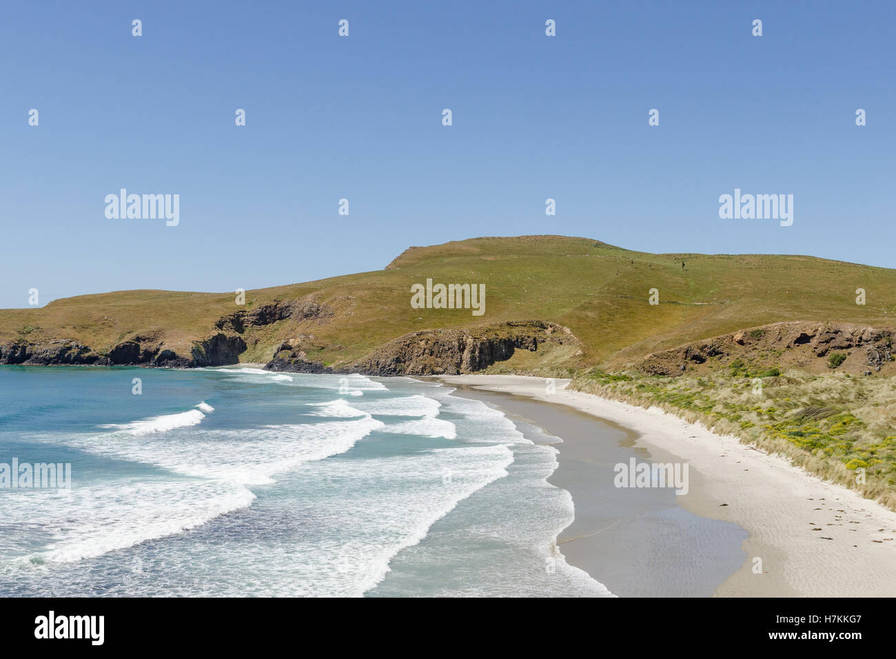 Sandy beach in Otago peninsula, Dunedin, New Zealand's South Island ...