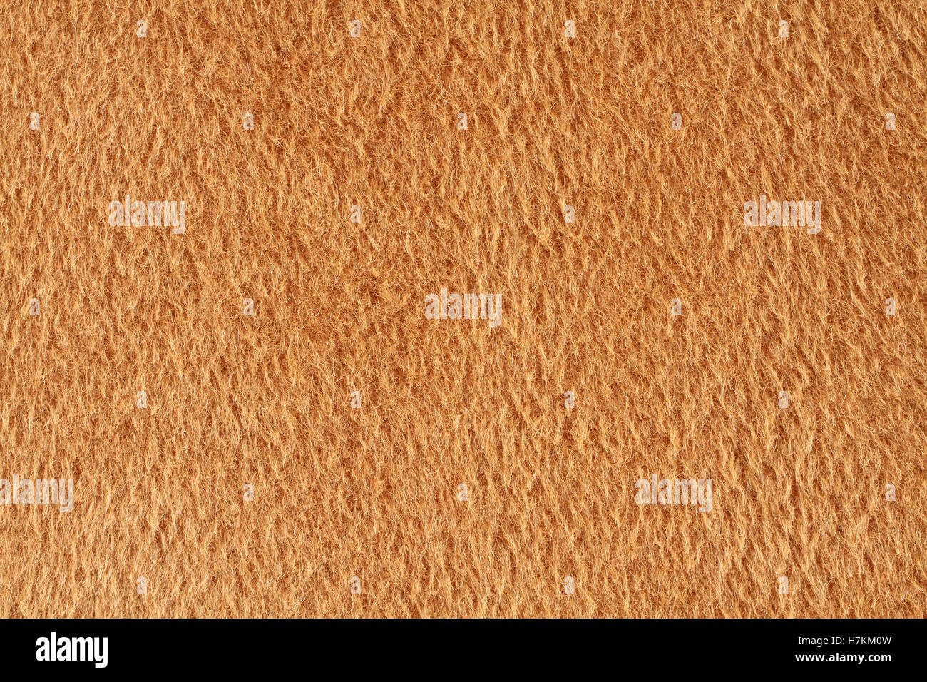 Light brown lama wool fabric texture. Macro Stock Photo - Alamy