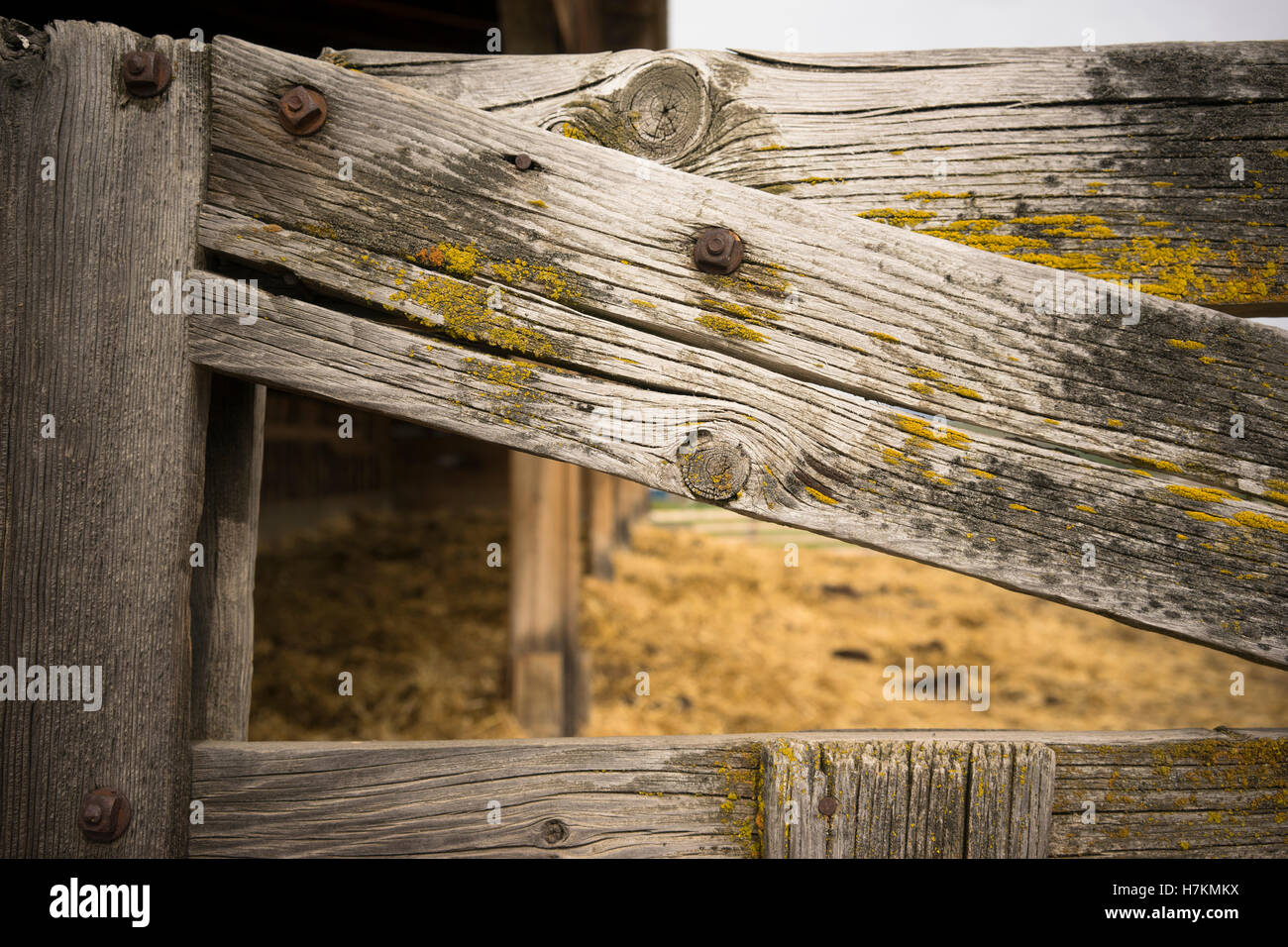 Farmyard gate hi-res stock photography and images - Alamy