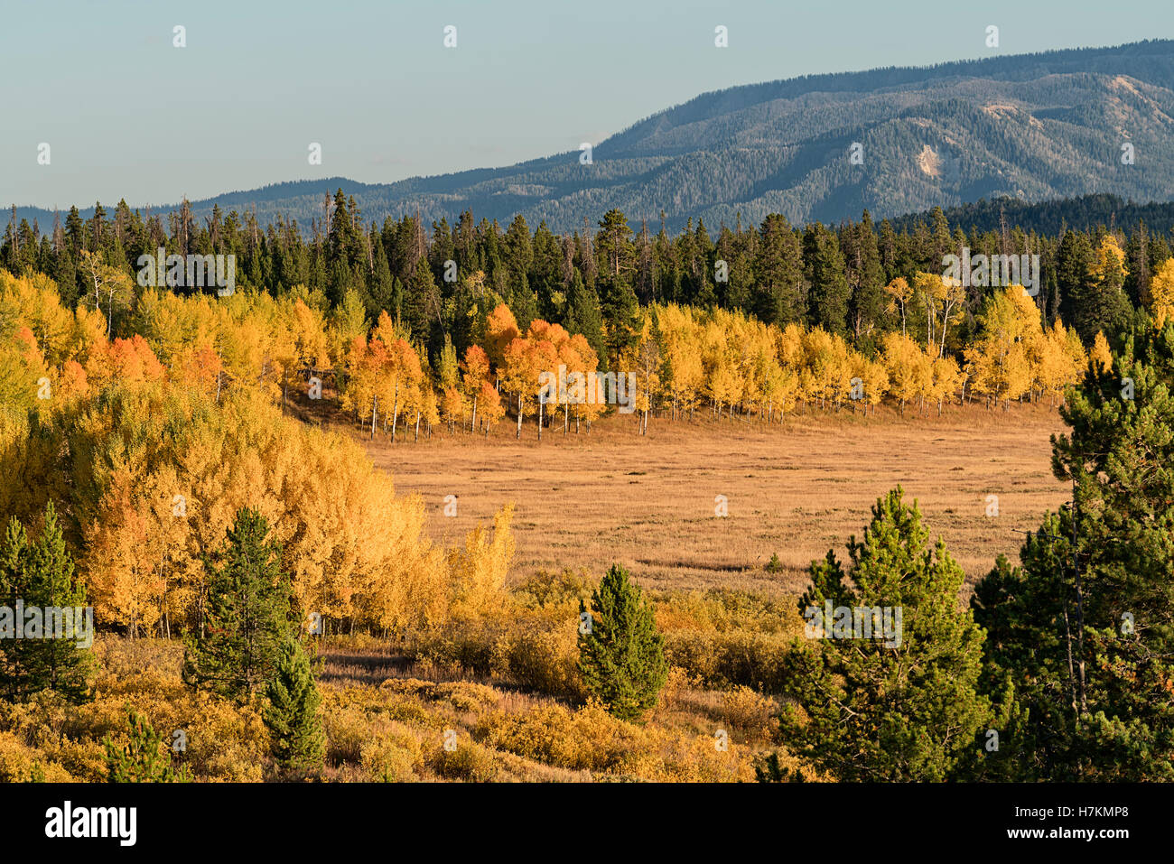 Fall season seasons hi-res stock photography and images - Alamy
