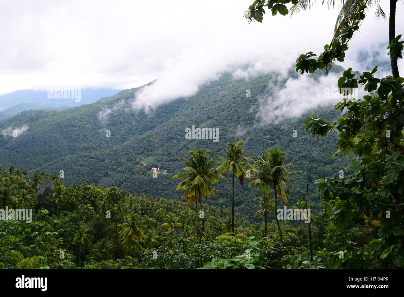 Thenmala Ecotourism forest at Thenmala Kollam District Kerala India ...