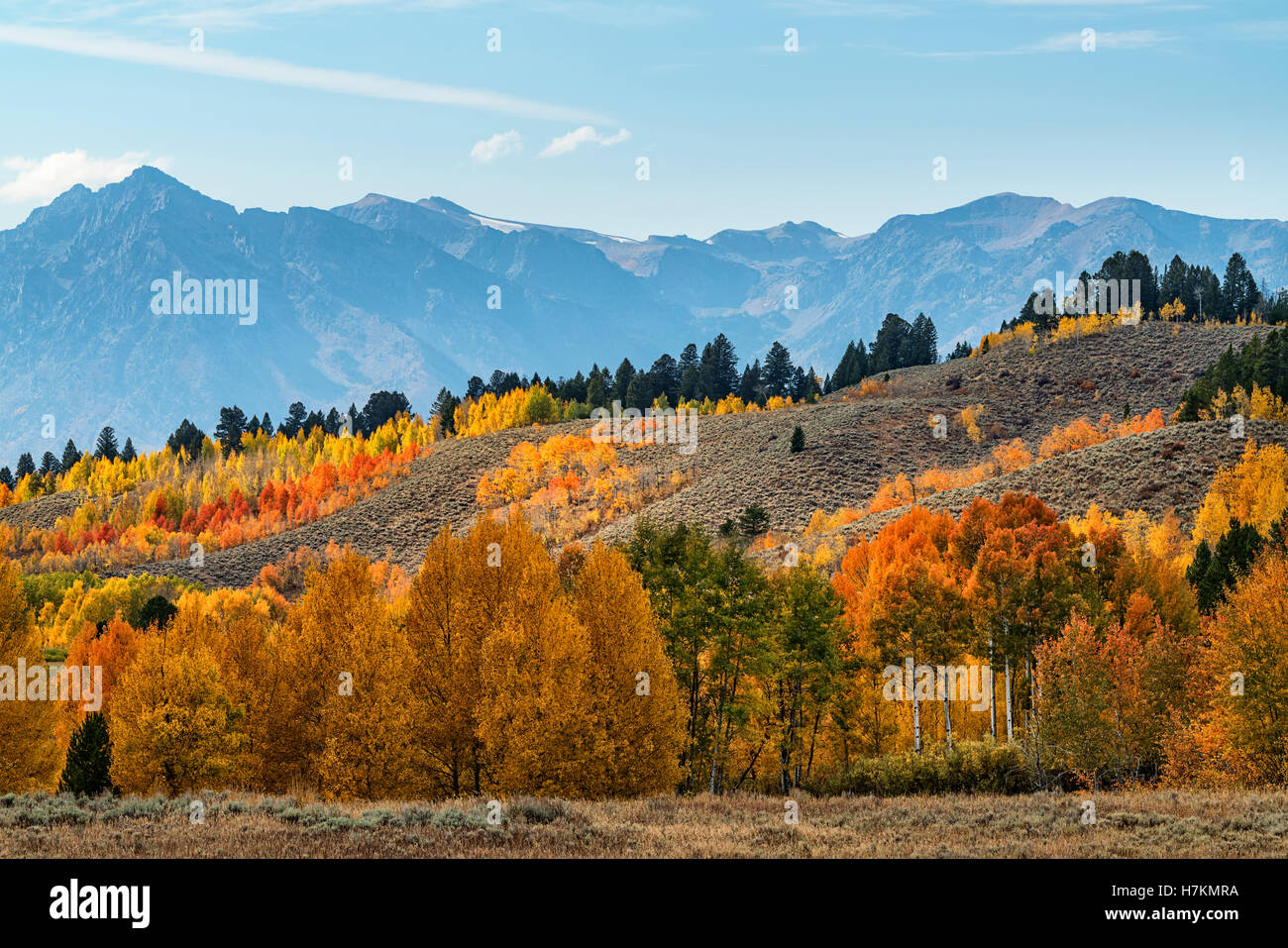 Fall colored hills Stock Photo - Alamy